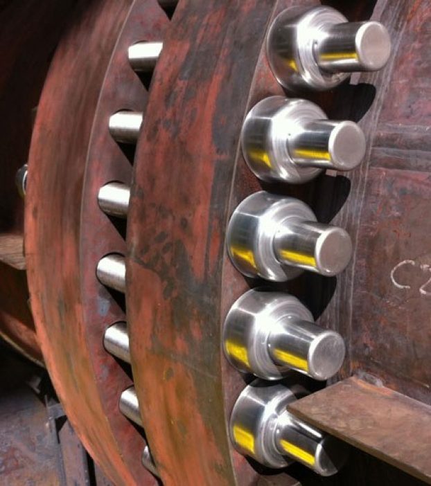 Boltshield Protection Caps: Full Blast -… | Specialised Force